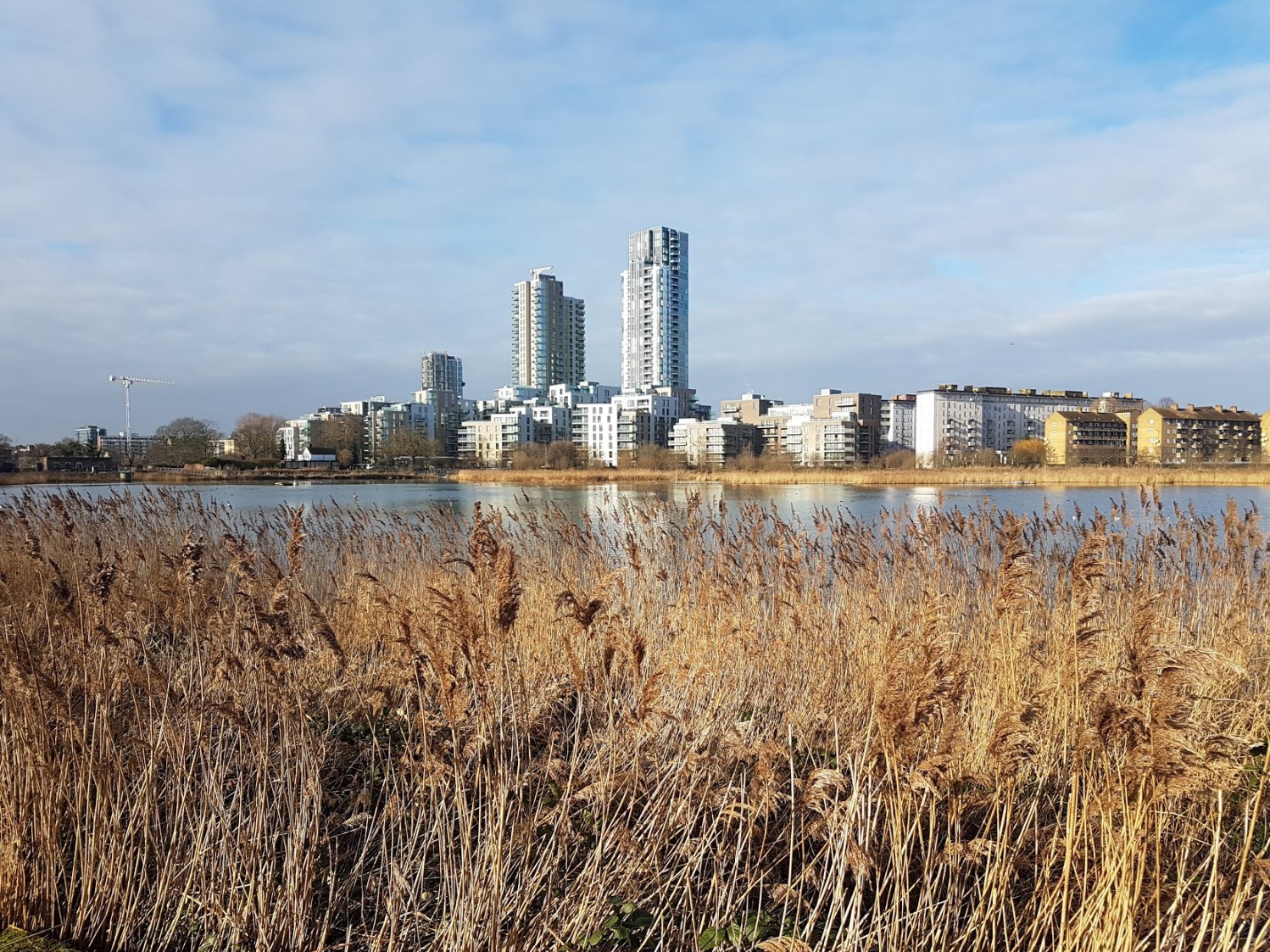 Where the World Turns Wild: resources – nicolapenfold.com